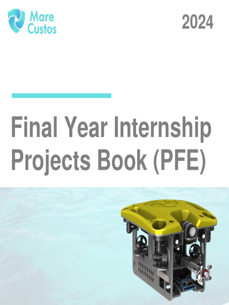 Mare Custos Internship Projects Overview | PDF | Nondestructive Testing ...