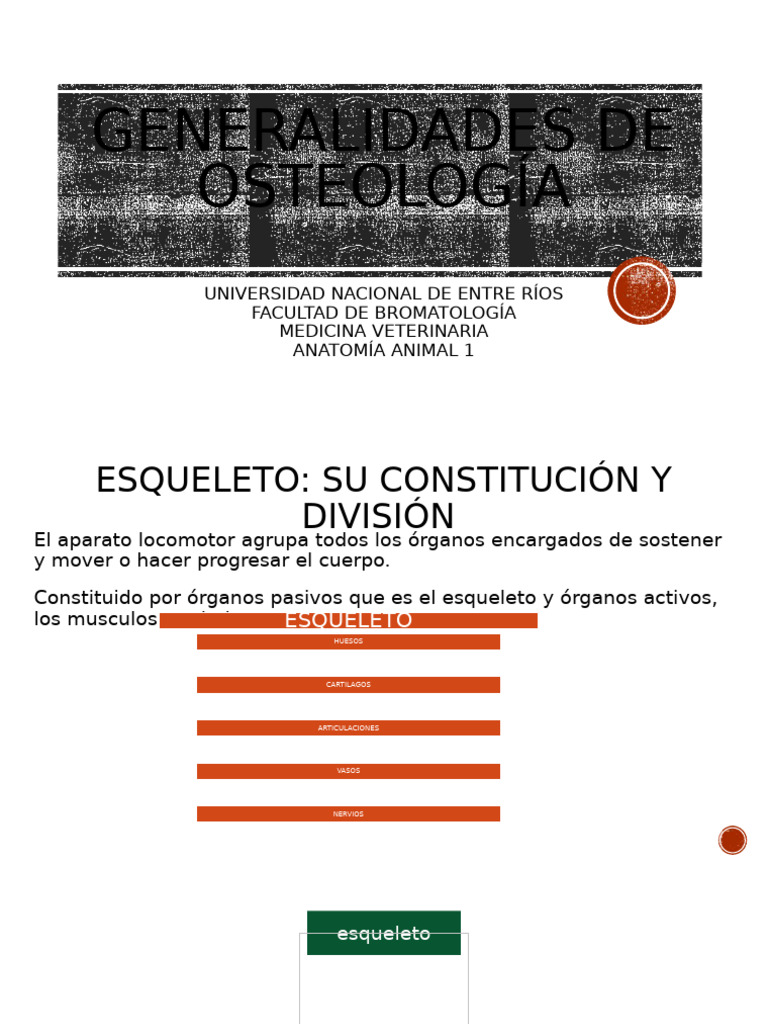 2 - Generalidades de Osteología | PDF | Hueso | Esqueleto