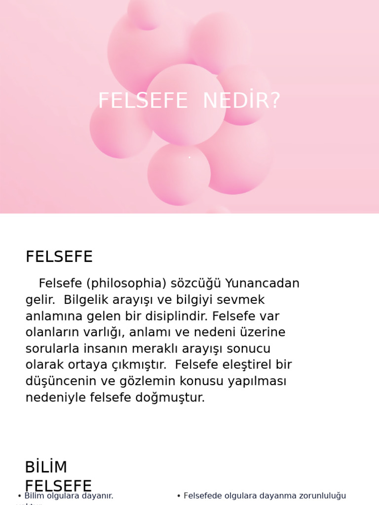 Felsefe Nedir? | PDF