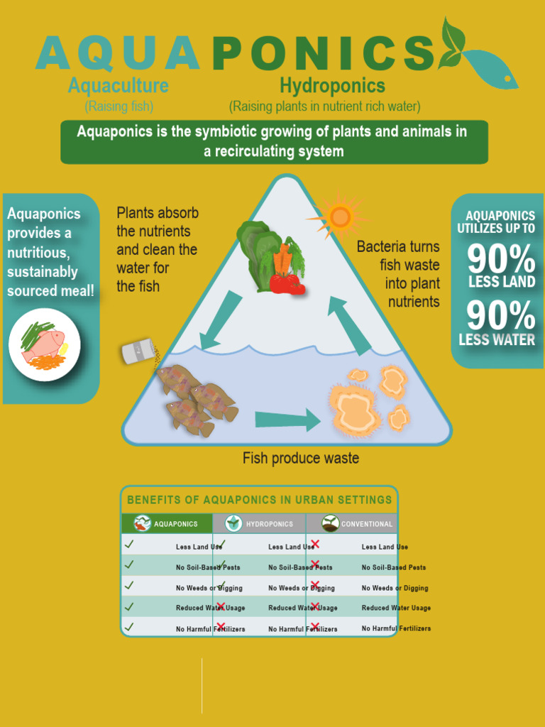 Aquaponics Informational Poster | PDF