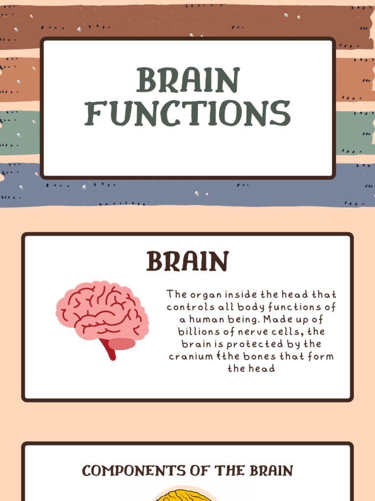 Week 5 Brain Function | PDF | Science & Mathematics