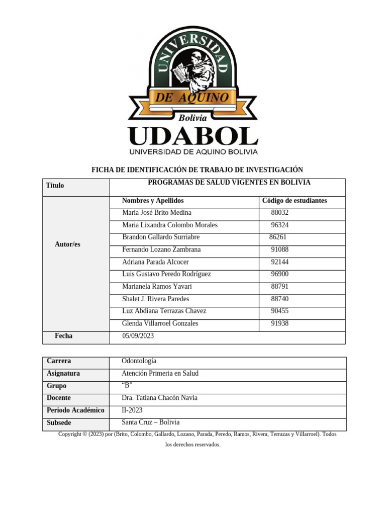 Formato - Trabajo - de - Inv Atencion Primaria | PDF | Hospital | Bolivia