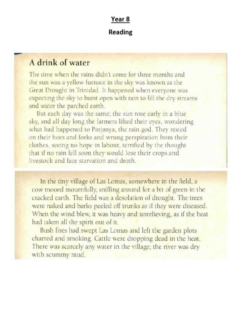 Checkpoint Reading Year 8 (Unit 5) | PDF