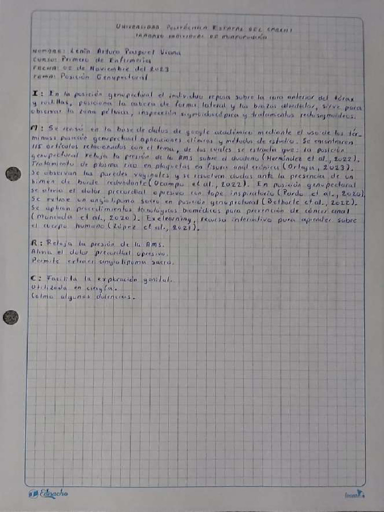 Aplicaciones Prácticas de La Posición Genupectoral | PDF