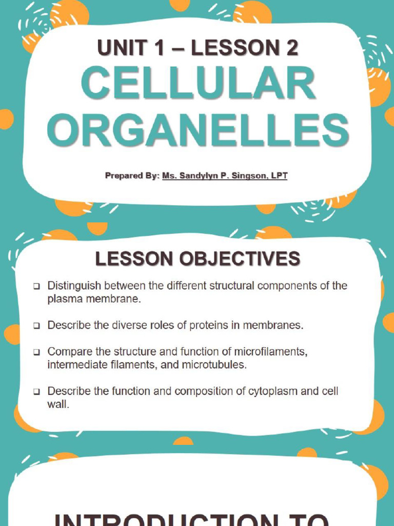 Cell Organelles | PDF