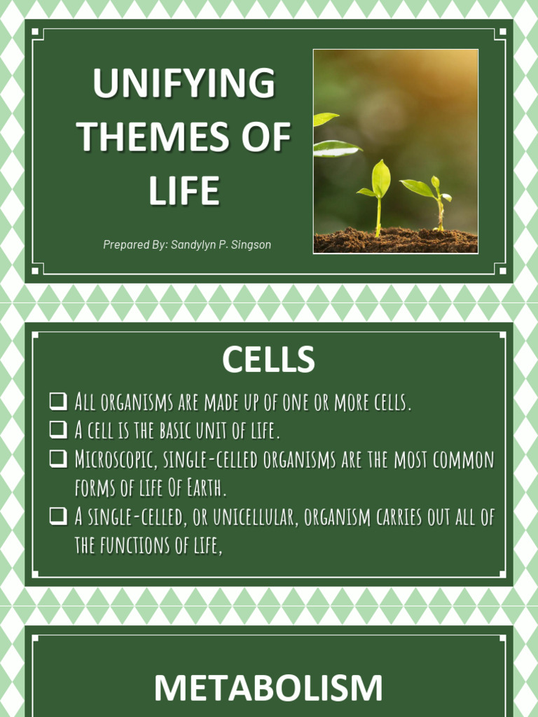Unifying Themes of Life and Biological Organization | PDF | Tissue ...