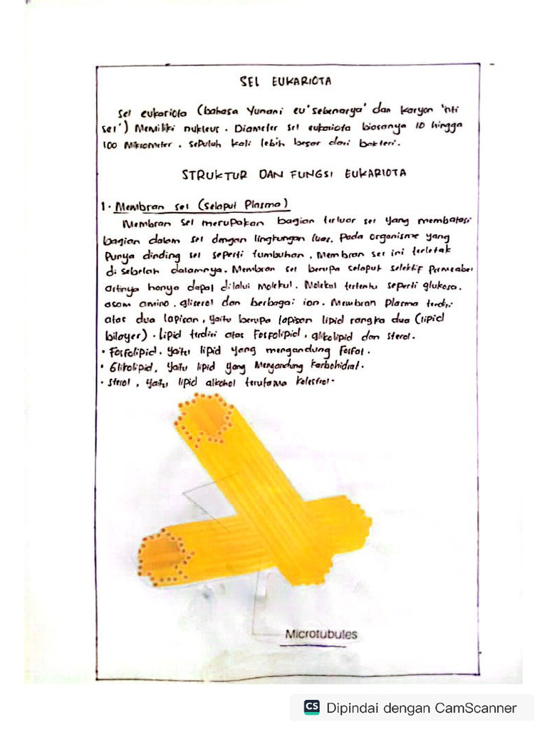 Mutia Syahida (A2416034) | PDF