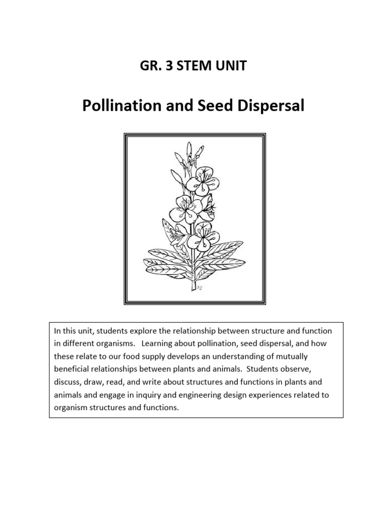 GR 3 Pollination and Seed Dispersal | PDF | Flowers | Pollination
