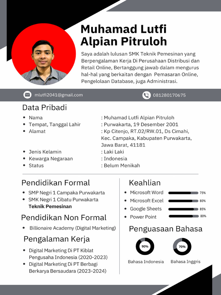 CV Lutfi | PDF
