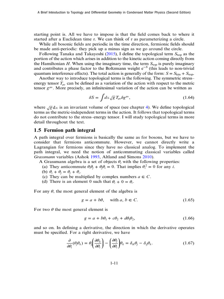 A Brief Introduction To Topology and Differential ... - (Chapter 1 Path Integral Approach) | PDF ...