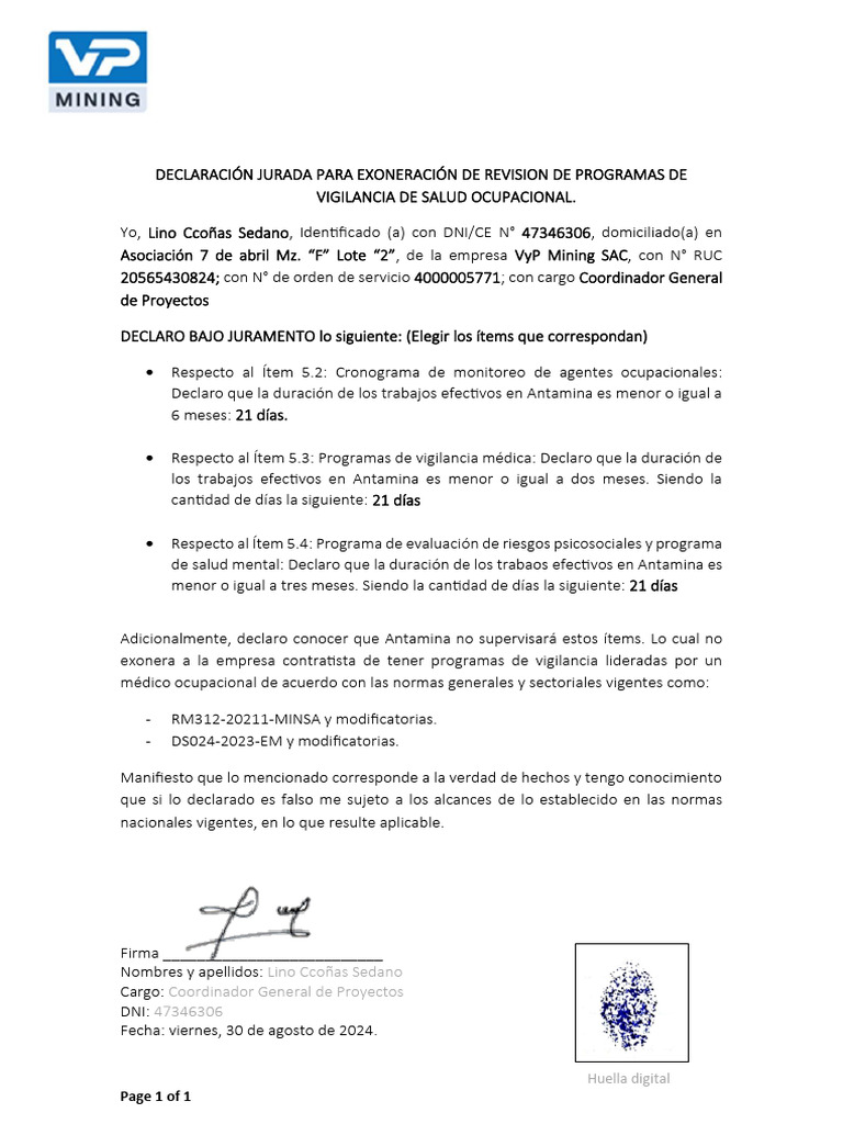 5.2 Anexo - 11. Modelo de DJ de Exoneración de Revisión de PV | PDF | Finanzas y dinero