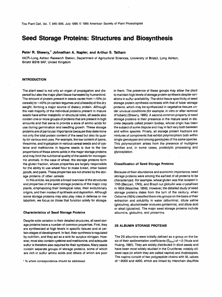 Seed Storage Proteins: Structure & Synthesis | PDF | Protein Domain ...