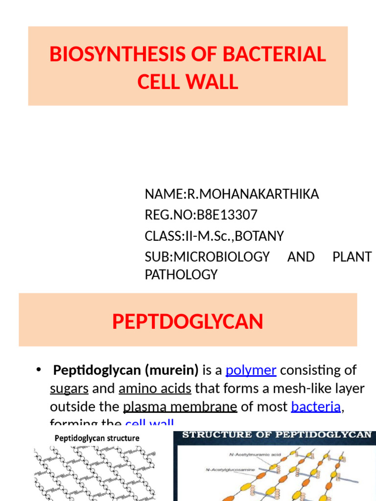 Biosynthesis of Bacterial Cellwall | PDF | Biosynthesis | Biochemistry