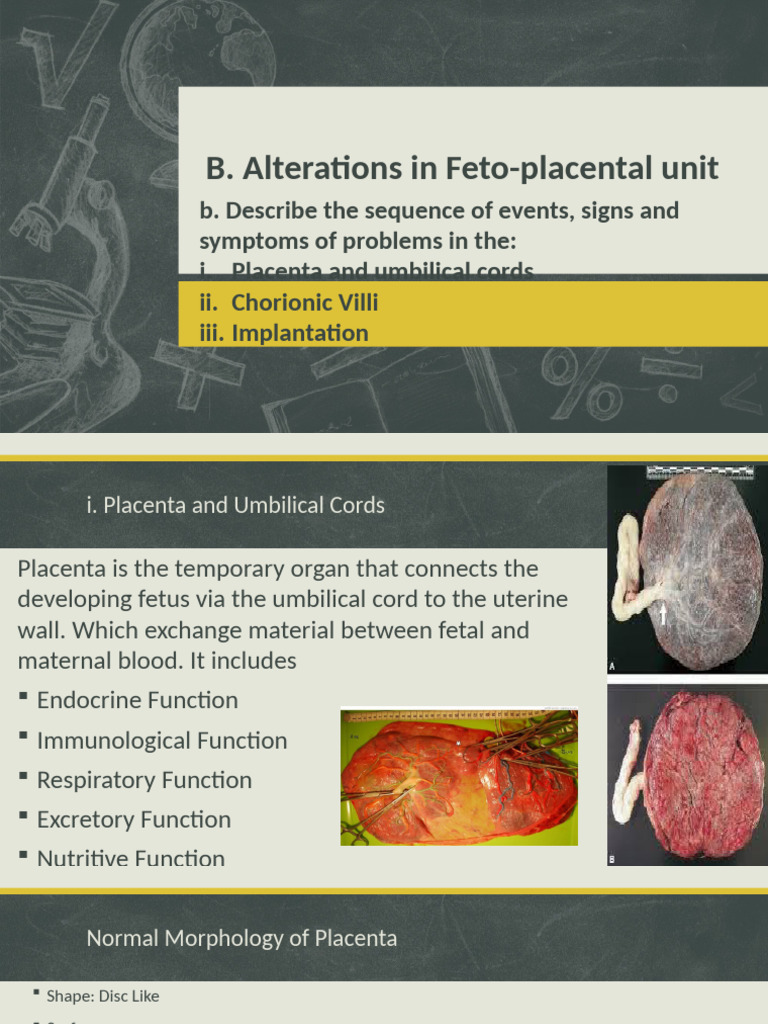 Problems in Placenta | PDF | Wellness