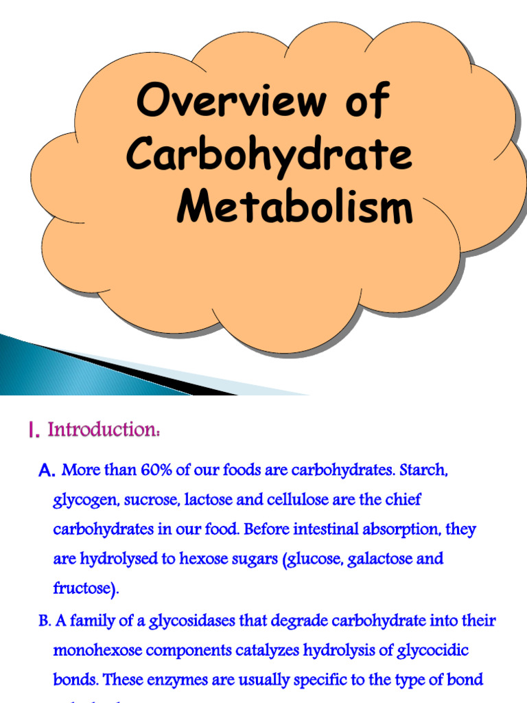 Carbohydrate Metabolism Overview | PDF | Glycolysis | Glucose