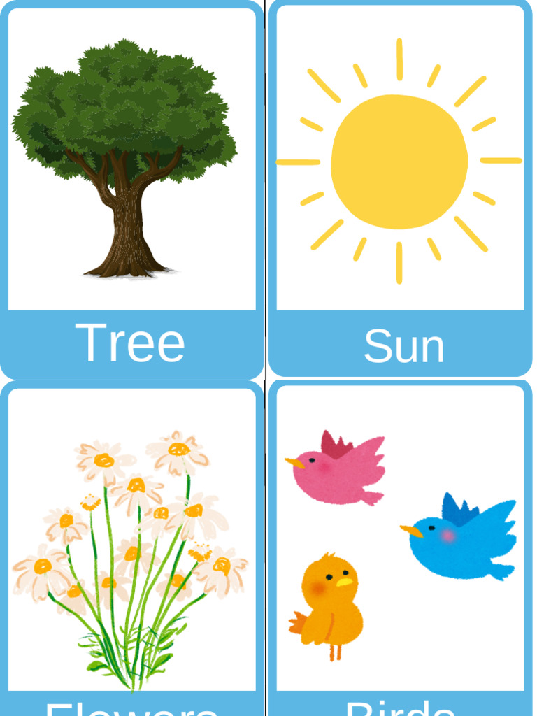 1st and 2nd Flashcards and Worksheets. | PDF