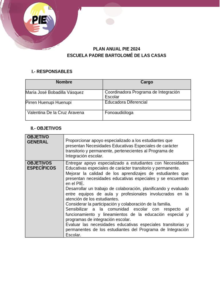 Plan Anual PIE 2024 | PDF | Salón de clases | Evaluación
