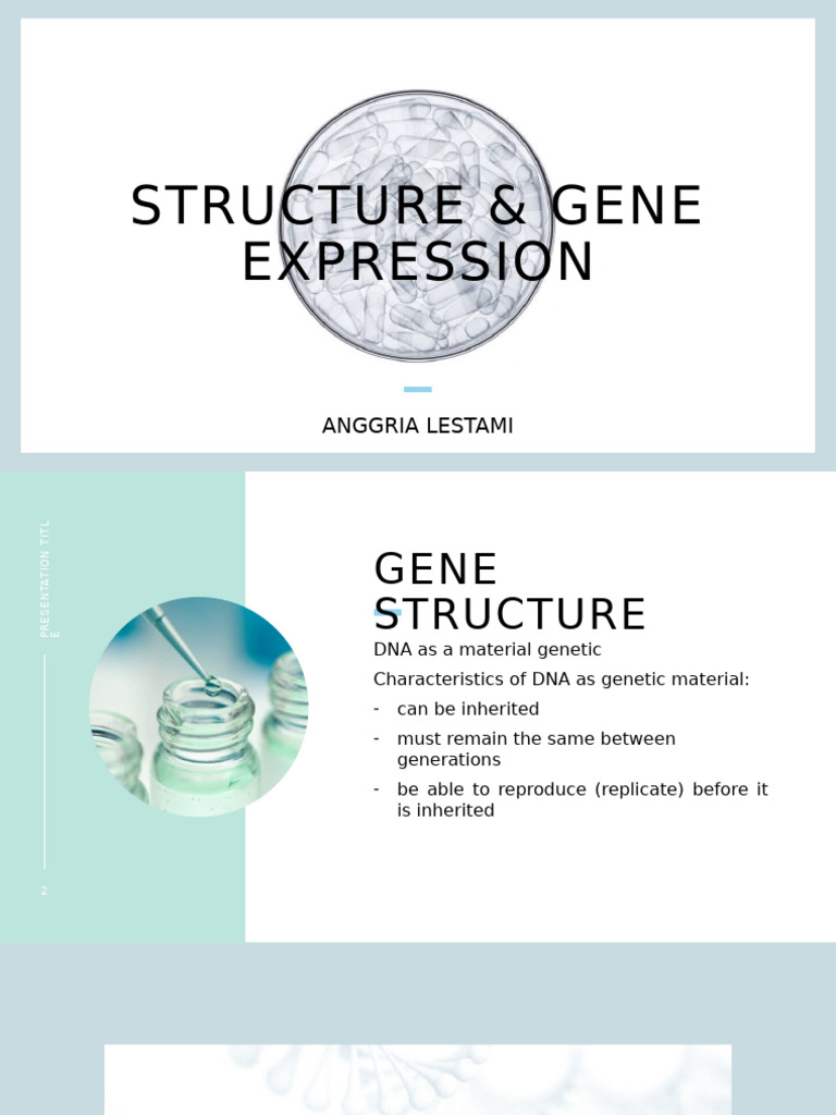 Structure & Expression of Gene | PDF | Dna Replication | Dna