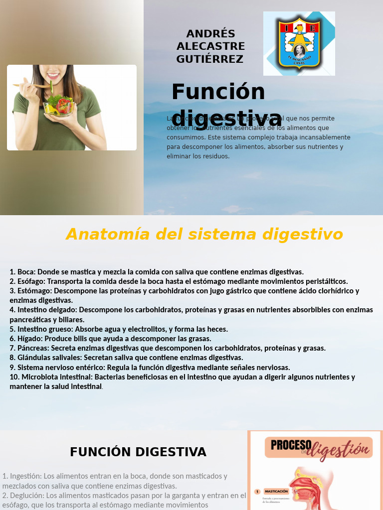 Función y Anatomía del Sistema Digestivo | PDF | Digestión | Tracto ...