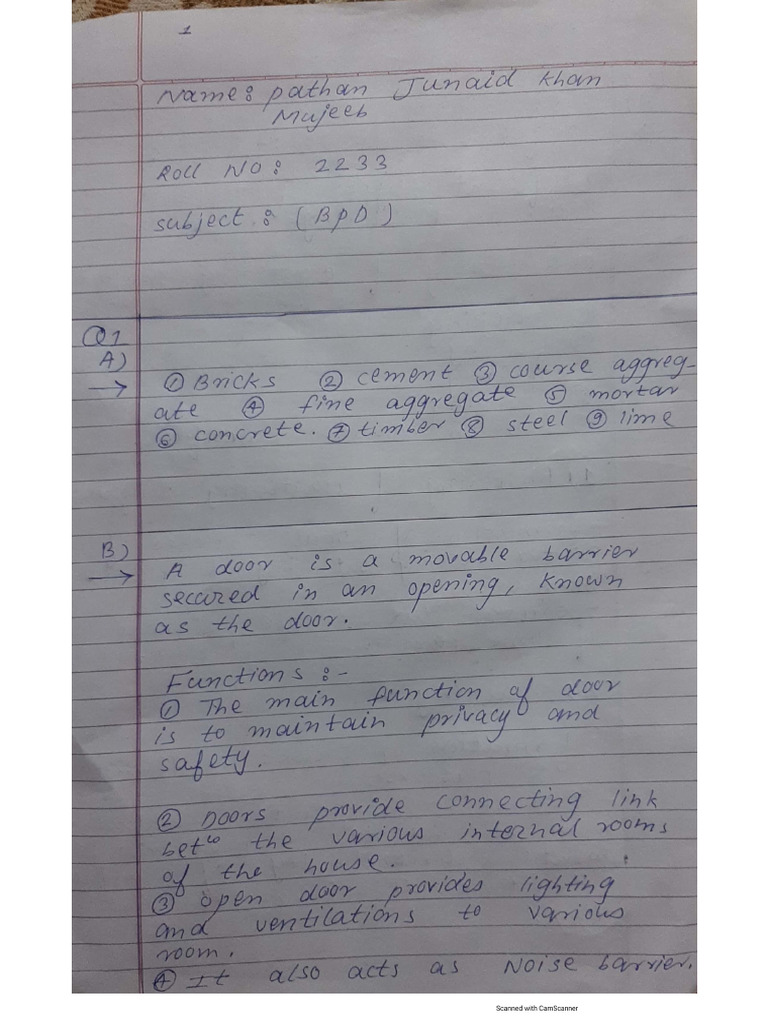 BPD - Junaid Pathan | PDF