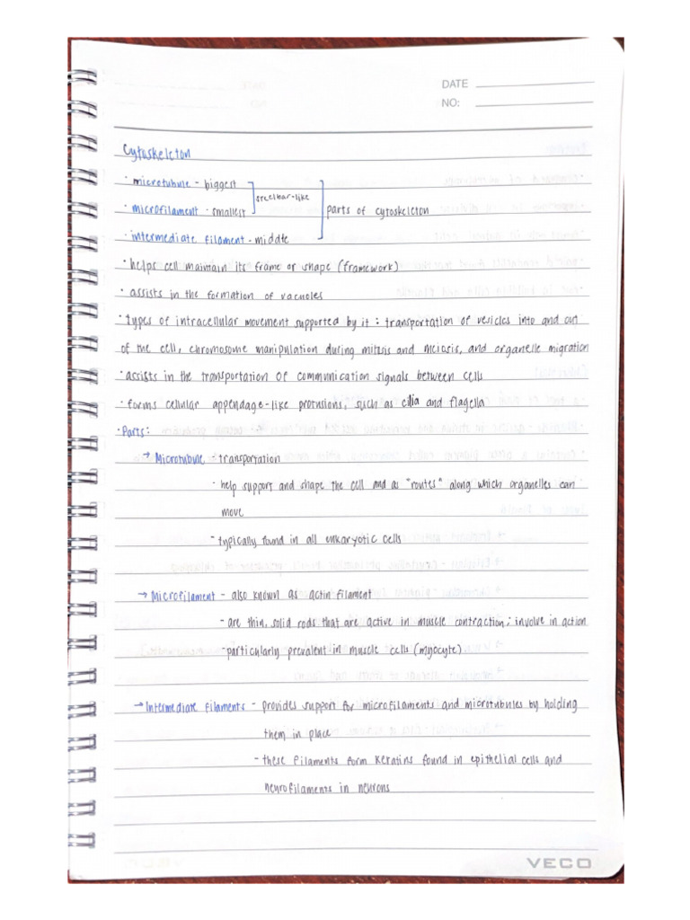 Cyto-To-Cell-Wall CPU SHS Biology | PDF