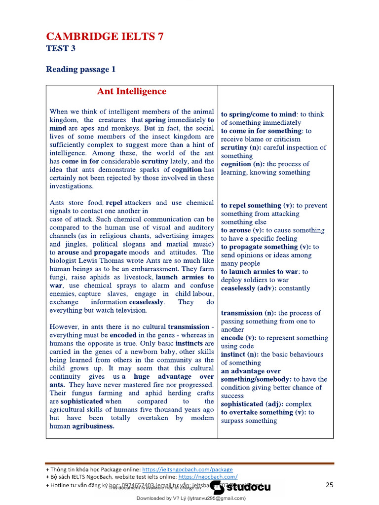 Ant Intelligence | PDF