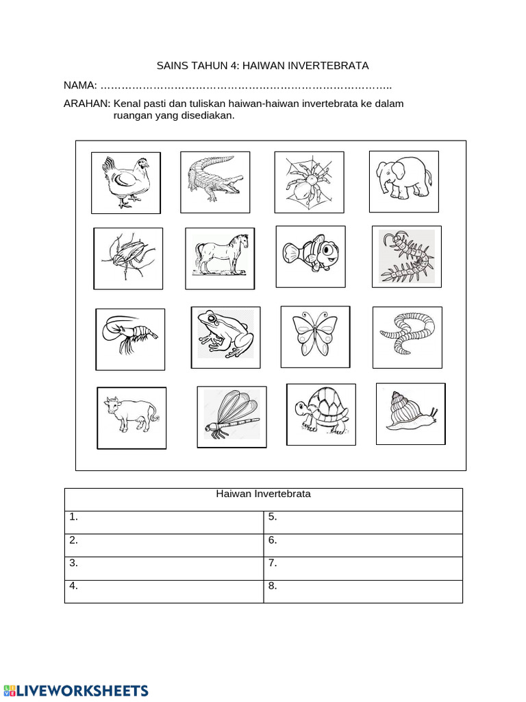 Haiwan Invertebrata untuk Sains Tahun 4 | PDF