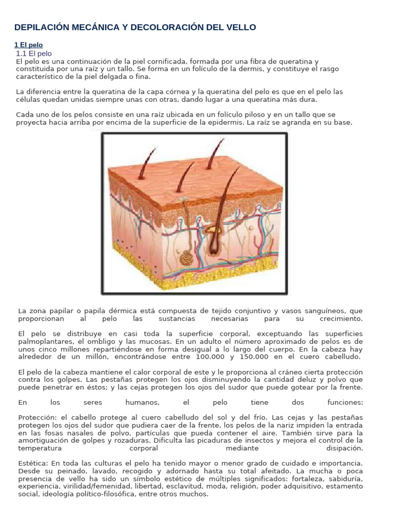 Depilación y Vello: Guía Completa | PDF | Perdida de cabello | Pelo