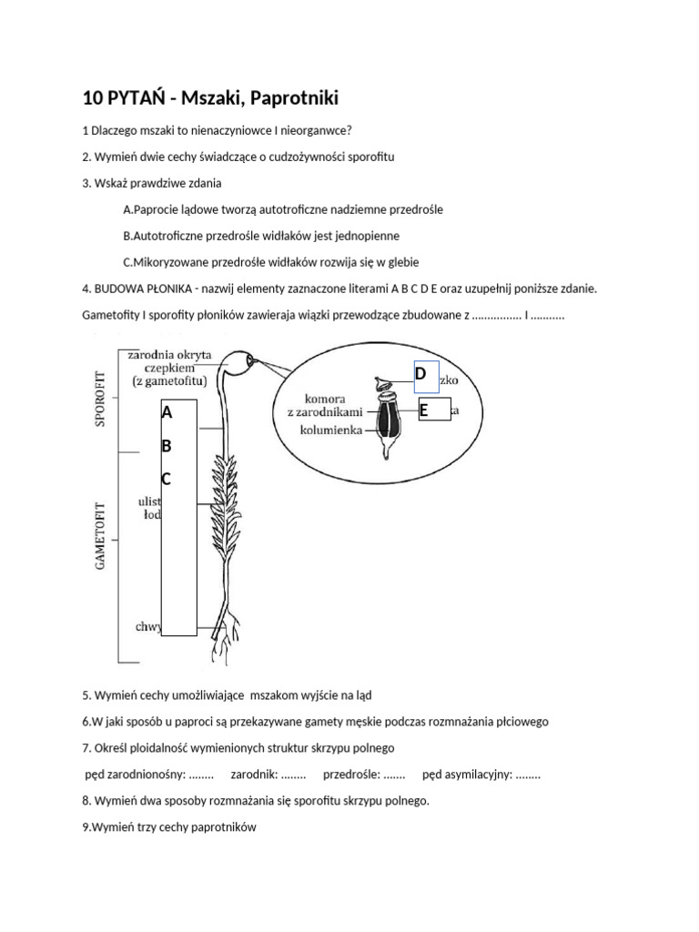 Mszaki Zadania | PDF