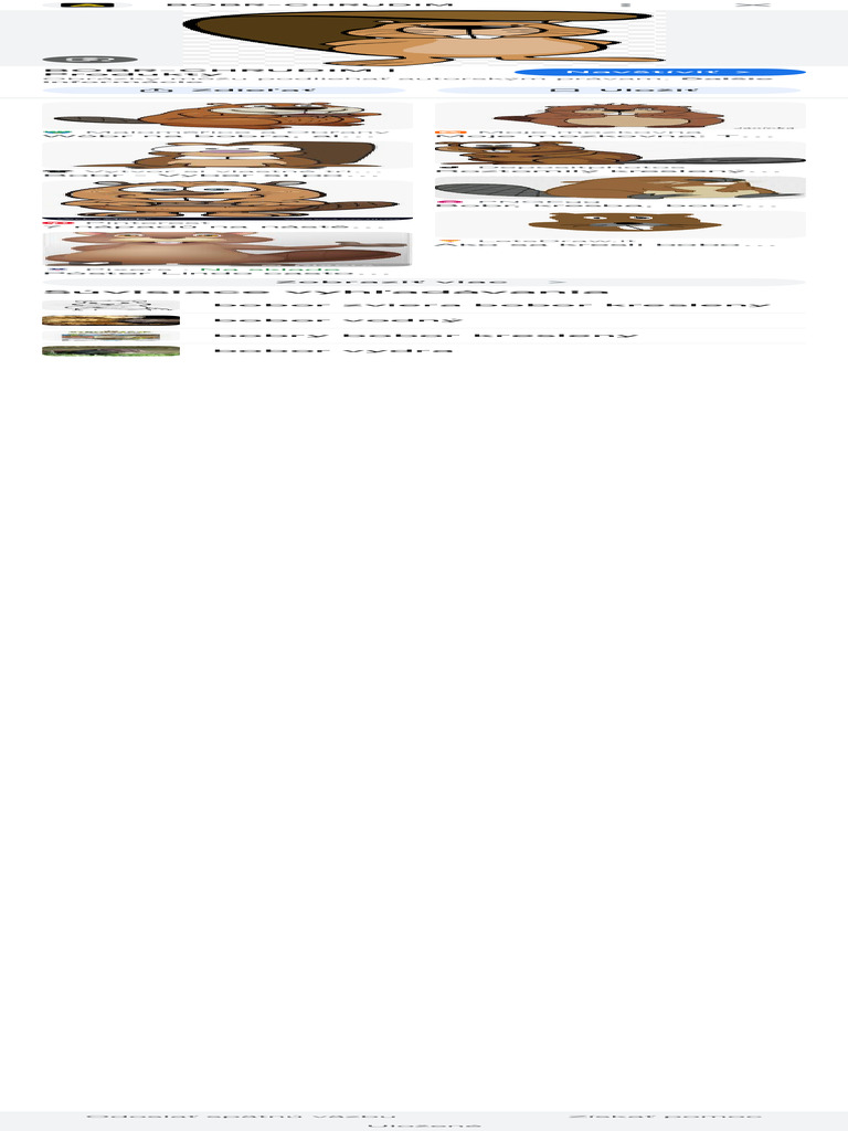 Bobor Kresleny - Hľadať Googlom | PDF