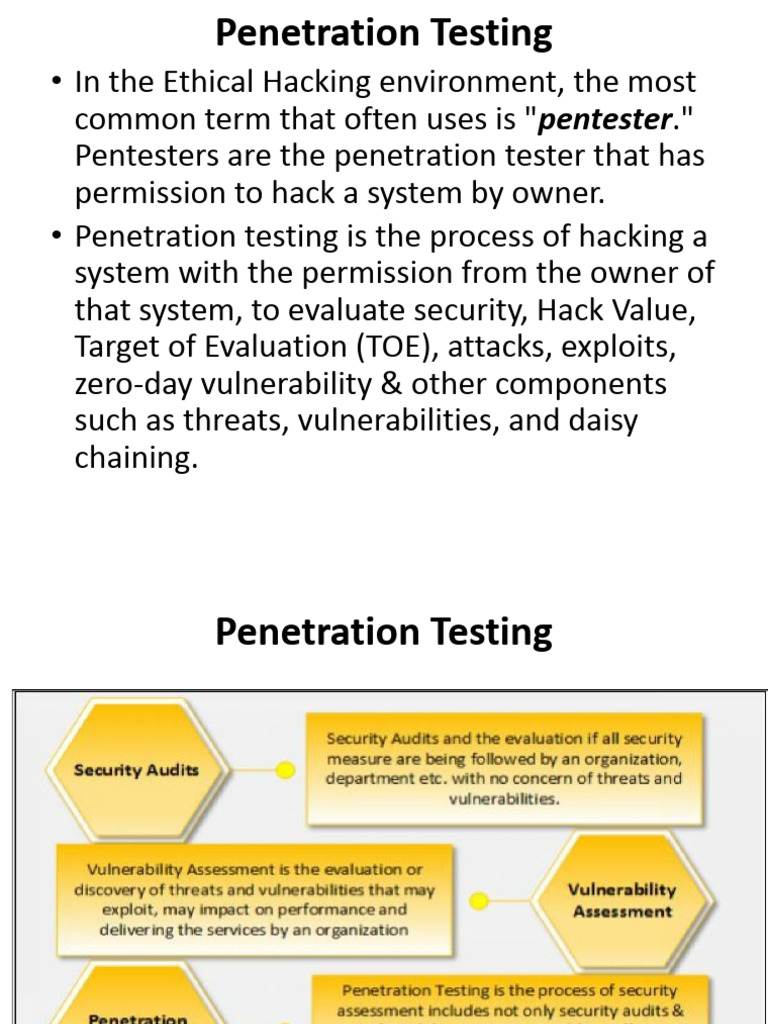 Understanding Penetration Testing | PDF | Penetration Test | Security