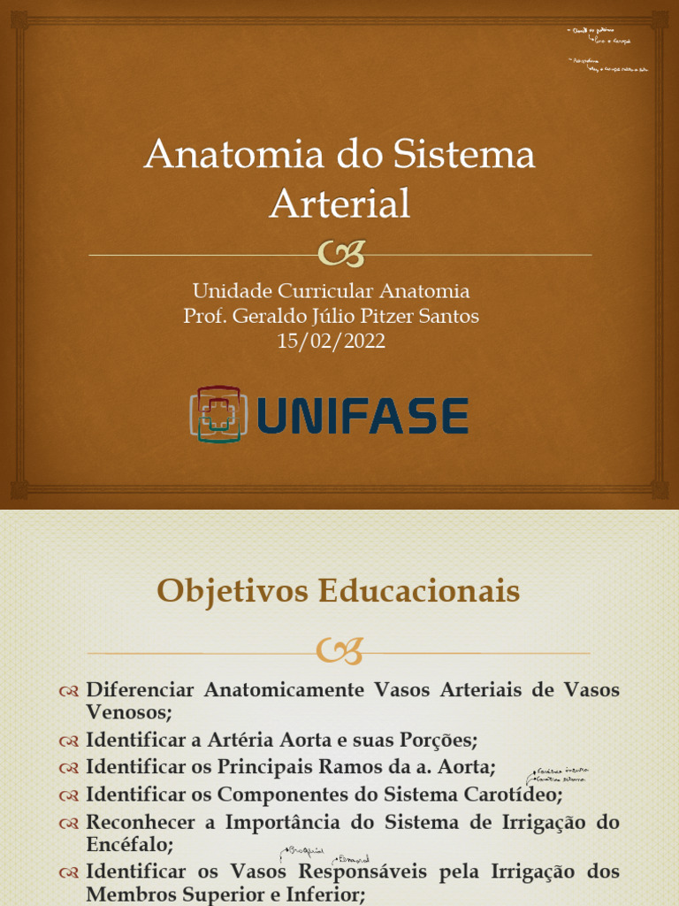 Arterial | PDF | Angiology | Anatomy