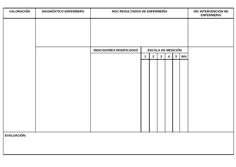 Hoja de Intervencion Nanda, Nic y Noc | PDF