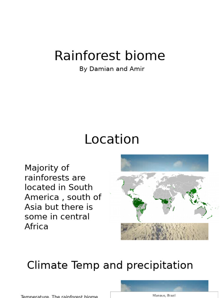 Presentation 12 | PDF | Canopy (Biology) | Rainforest