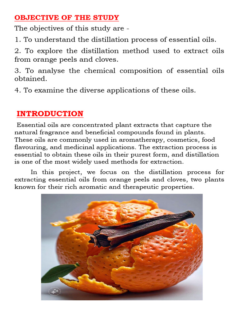 Essential Oil Distillation Study | PDF | Essential Oil | Distillation