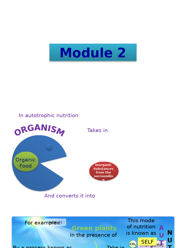 Module 2 | PDF | Nutrition | Diet & Nutrition