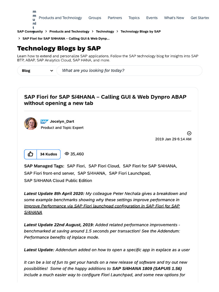 Sap Fiori For Sap S4hana Calling Gui And Web Dynpro Abap Without Opening A New Tab Pdf