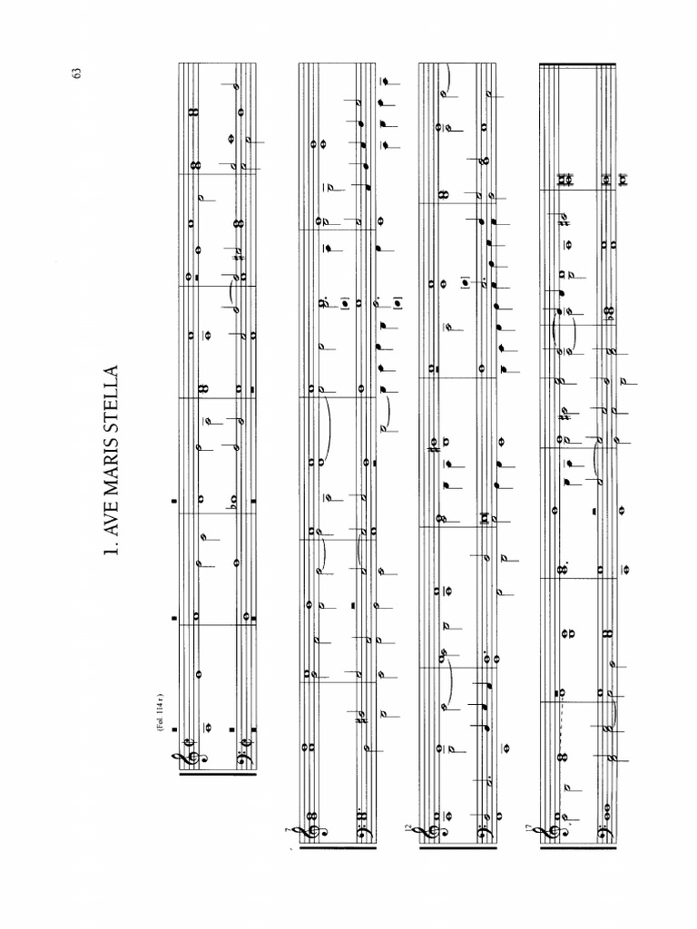 Bermudo | PDF