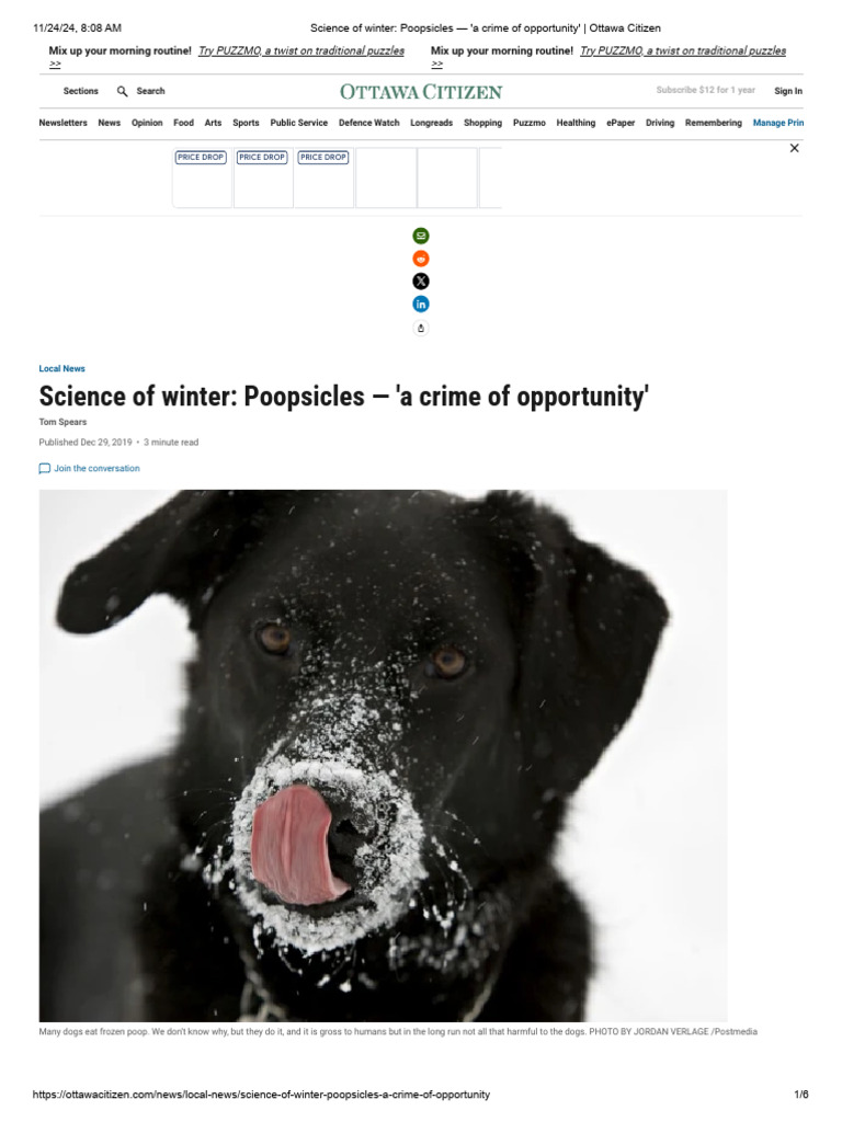 Science of Winter - Poopsicles - 'A Crime of Opportunity' - Ottawa ...
