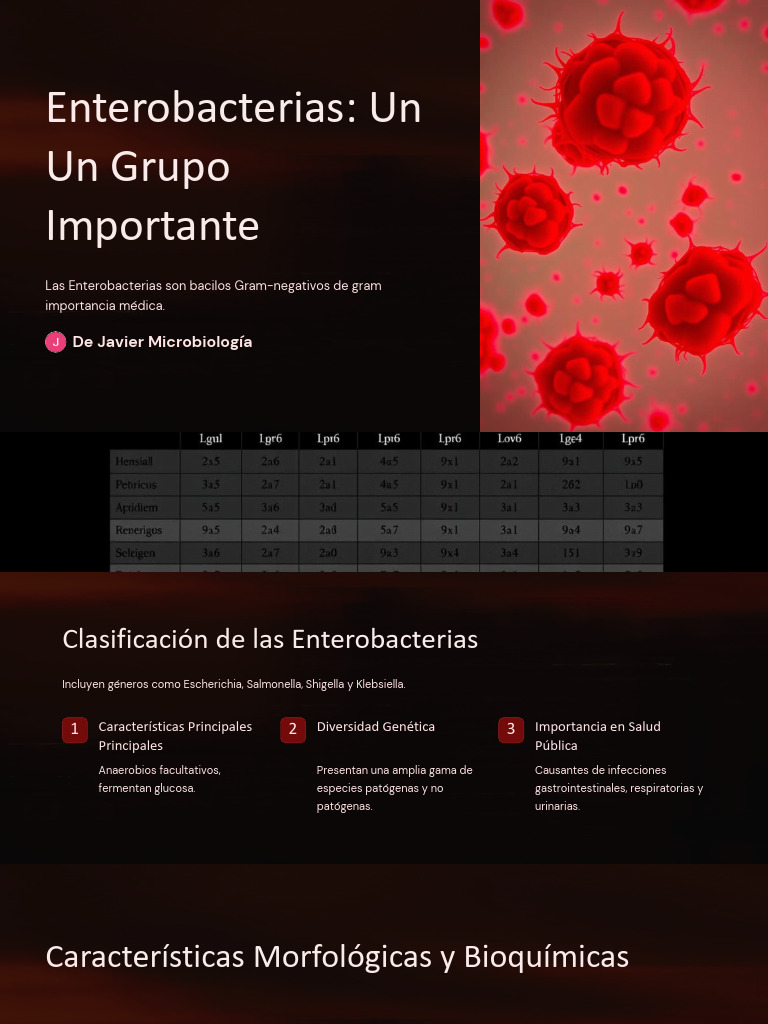 Enterobacterias | PDF | Salmonela | Infección