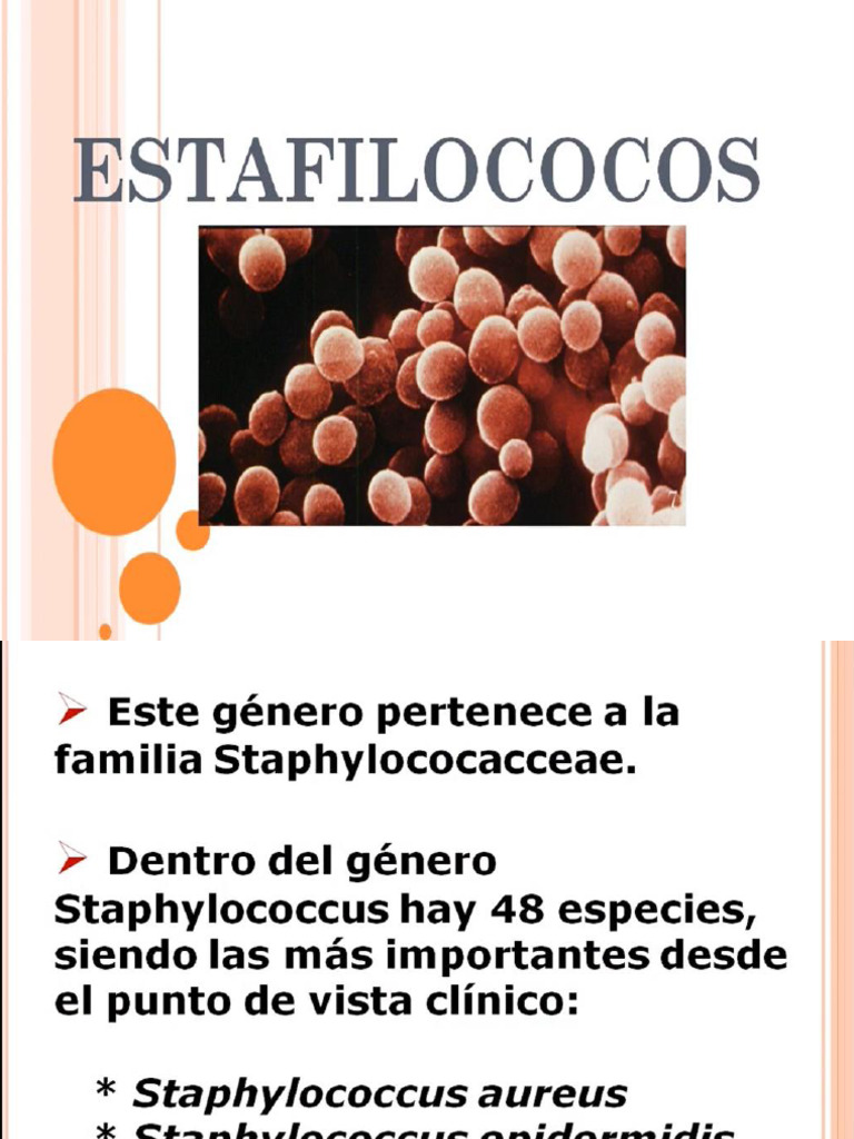 Estafilococos | PDF