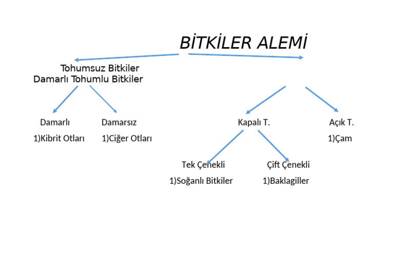 Bi̇tki̇ler Alemi̇ | PDF