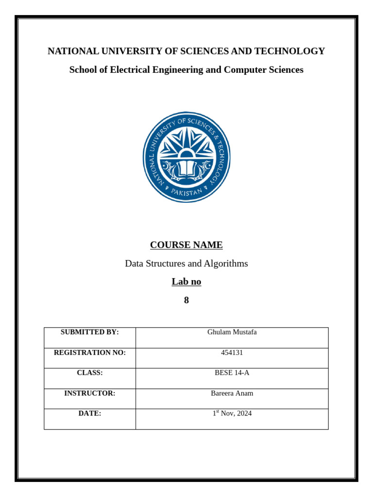 Ghulam Mustafa Lab 8-DSA | PDF | Theoretical Computer Science | Computer Programming