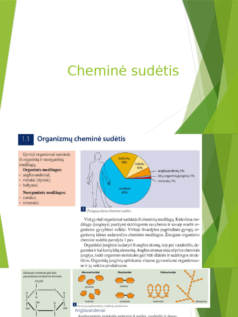 9.chemine Sudetis | PDF