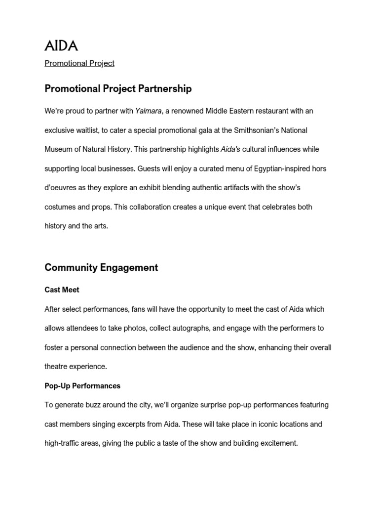 AIDA - Promotional Project Statement | PDF | Museum