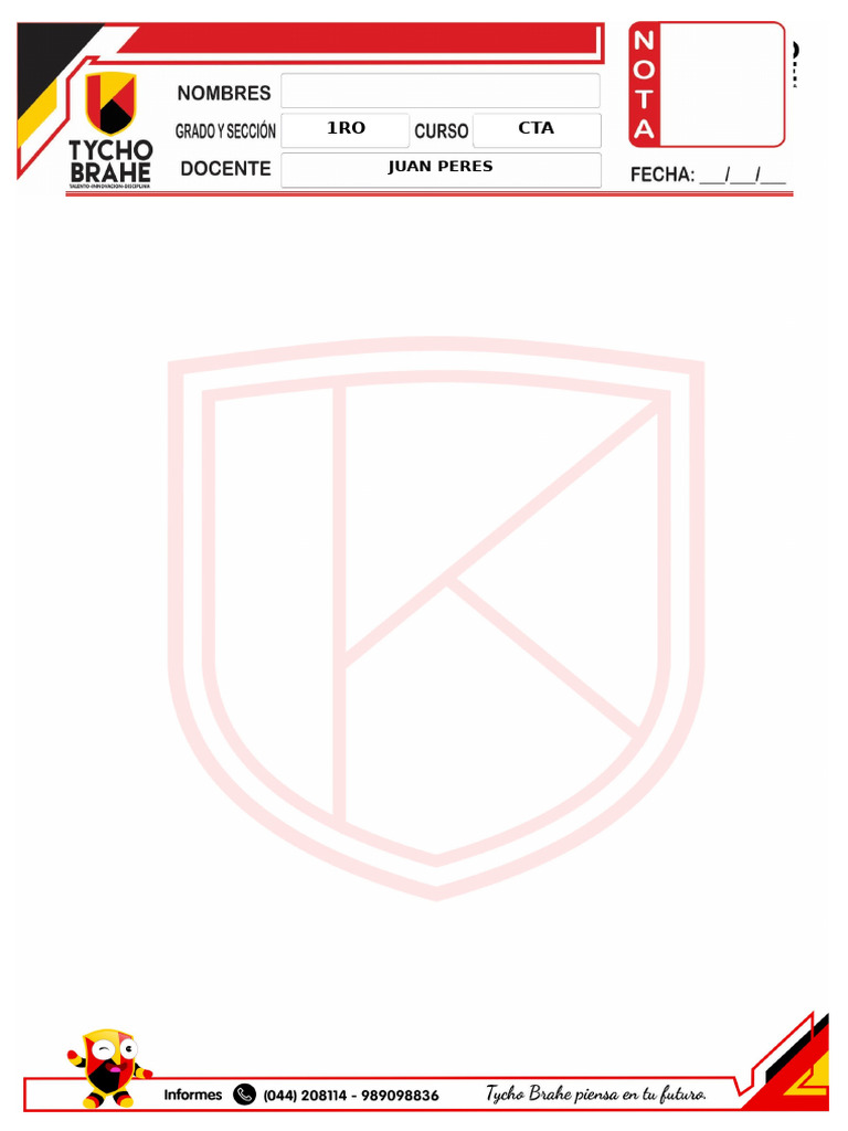 Formato Examen | PDF