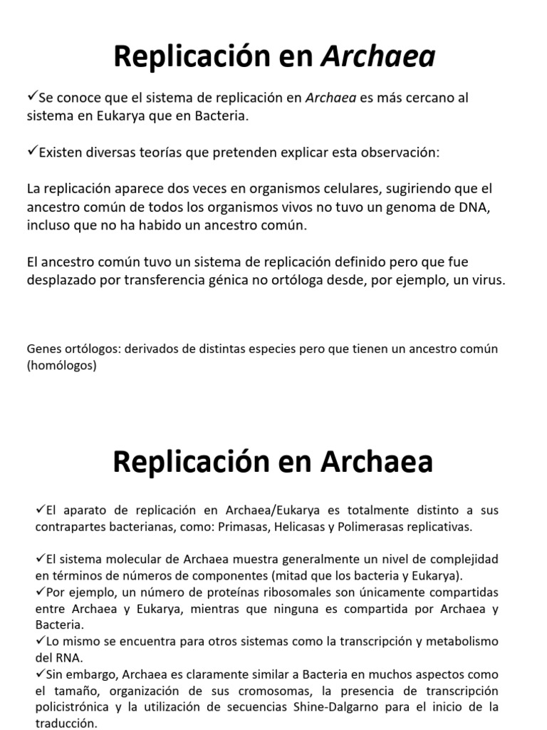 Gen Tica Microbiana Replicaci Narchaea Transcripci N | PDF | Rna | Adn