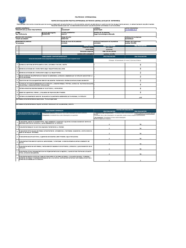 Matriz de Evaluacion en Blanco | PDF | Evaluación | Medicamentos con receta