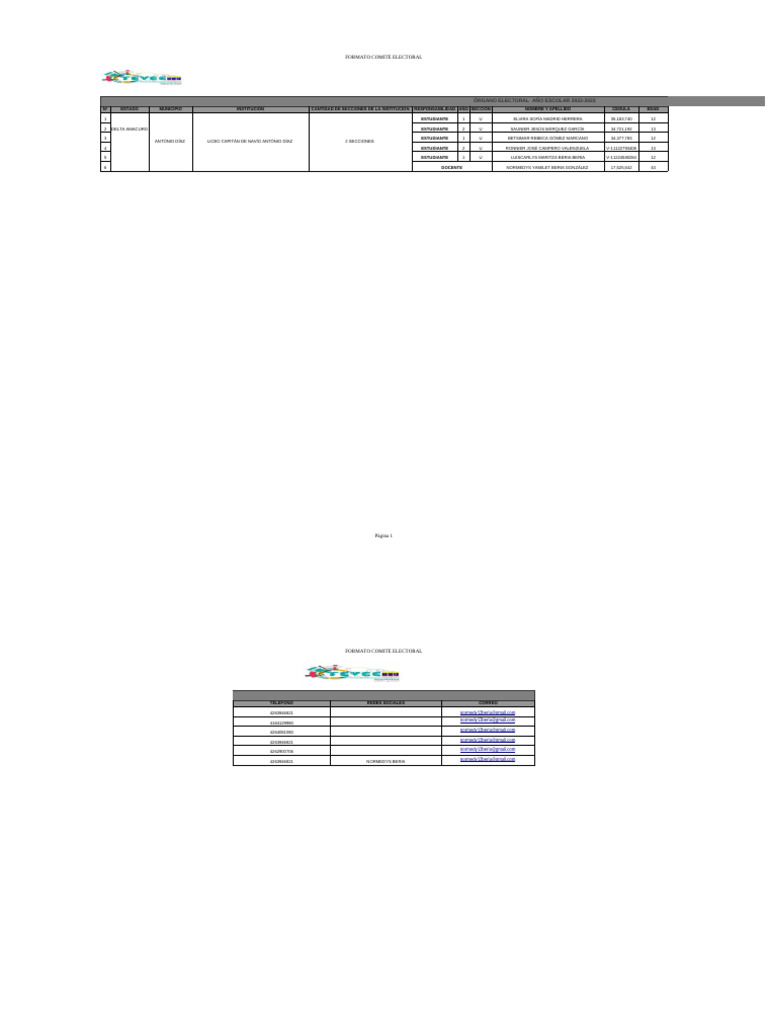 Formato Organo Electoral Institucional 2022-2023-1 | PDF