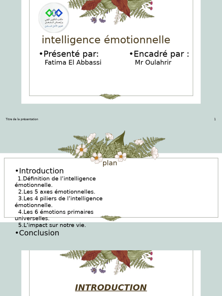 Fatima El Abbassi | PDF | Intelligence émotionnelle | Émotions